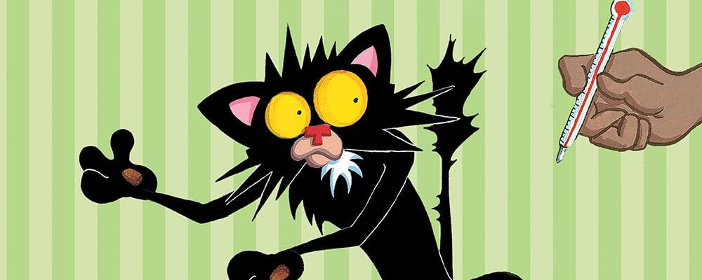 Nick Bruel Bad Kitty Goes To The Vet Bookshop Santa Cruz