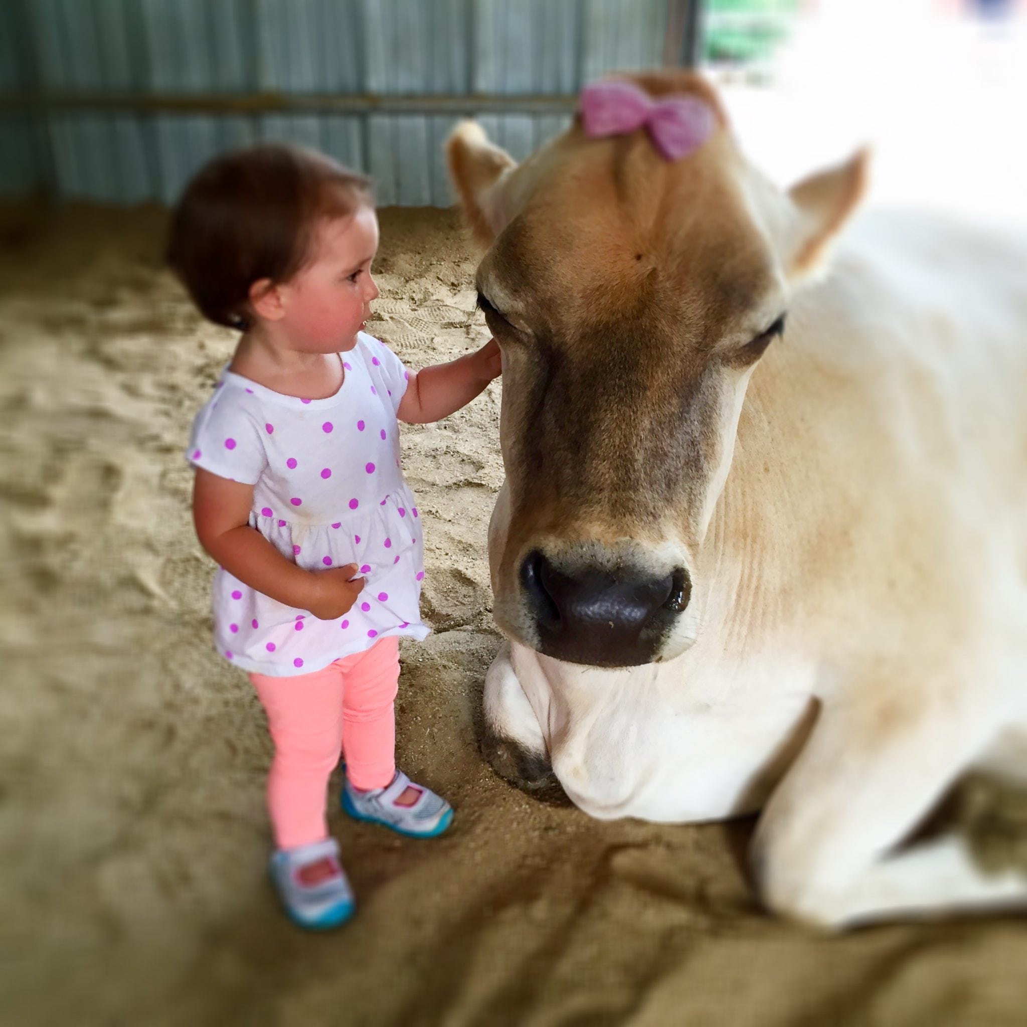 Summer Activities for Learning In and Around L.A.