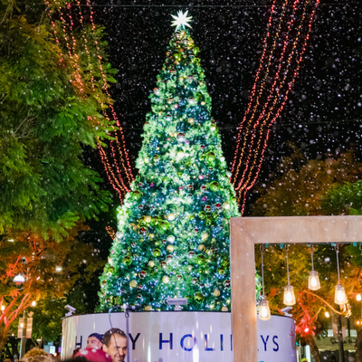 Light up the Night: Where to See Holiday Lights in L.A. - L.A. Parent