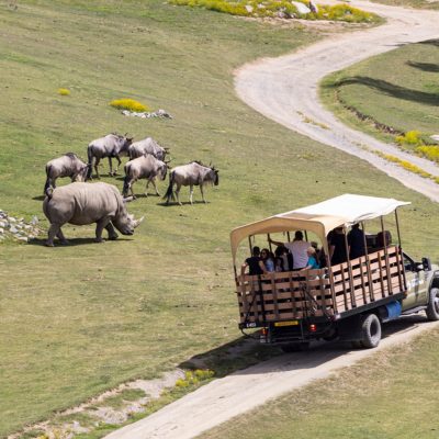 San Diego Zoo Safari Park: Family Adventure, New Experiences - L.A. Parent